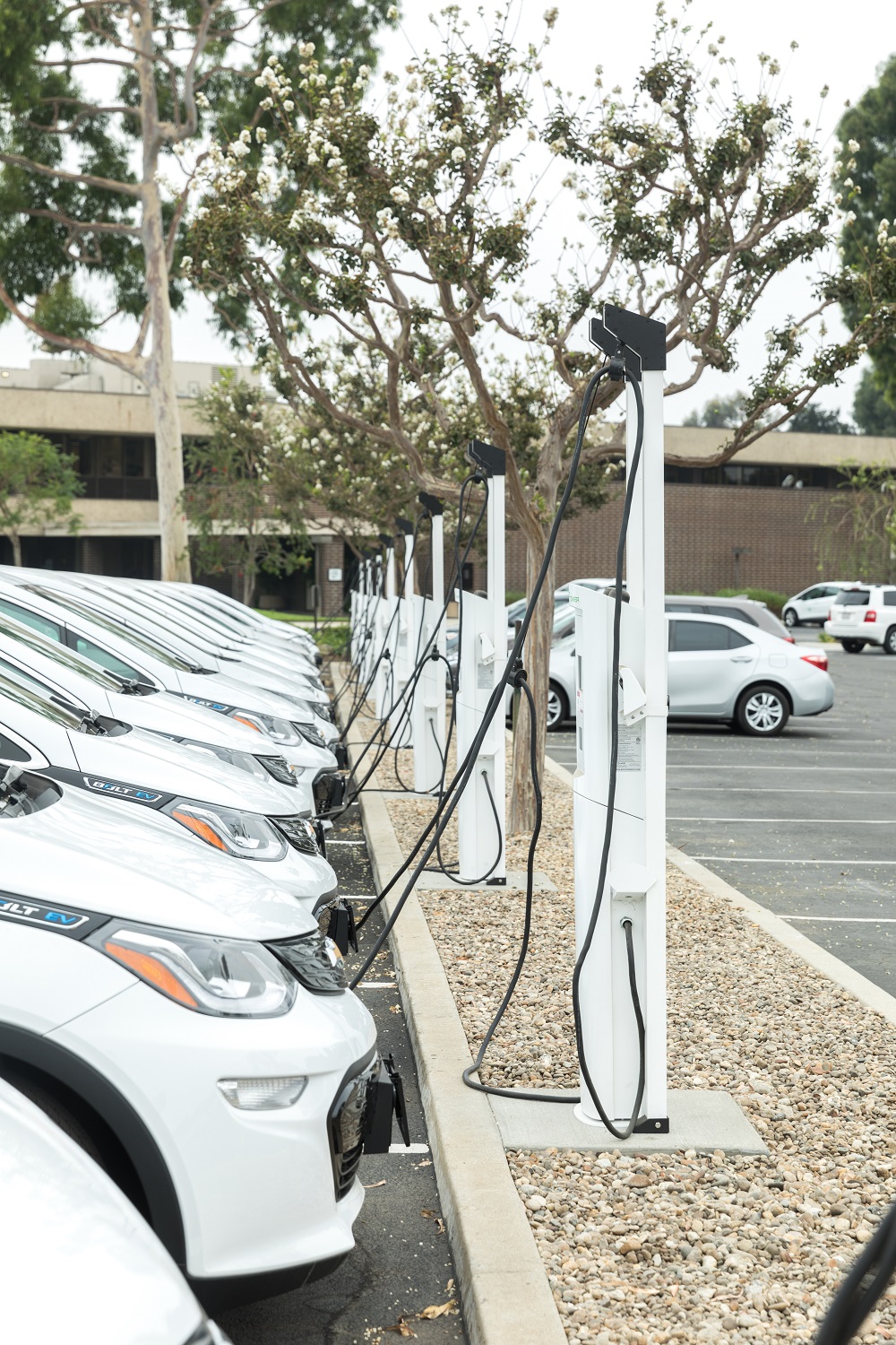 Trade Professional Resources